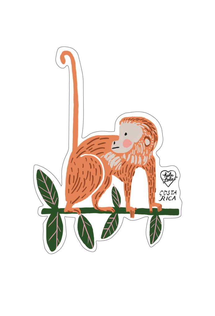 Mono Cola Arriba Sticker – Holalola
